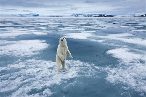 ¿qué Es El Cambio Climático Y Cuáles Son Sus Consecuencias Actuales