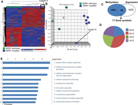Integrative Epi Genomic Analysis Of Nk Aml Subjects Harboring An Npm1