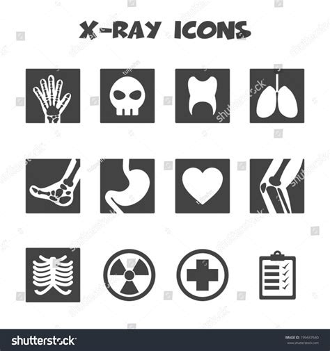 Xray Icons Mono Vector Symbols Stock Vector Royalty Free 199447640