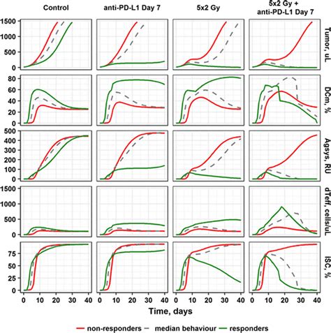Radiation And Pd L 1 Treatment Combinations Immune Response And Dose