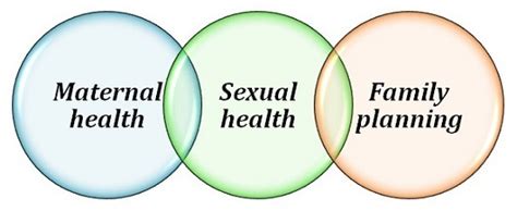 Reproductive Health Problems Strategies