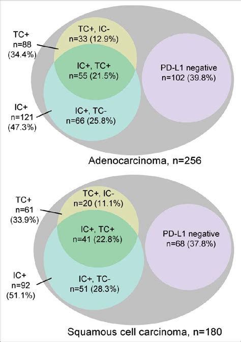 Pd L1 Ihc Positive C And Negative Tumor Cells Tc And Immune