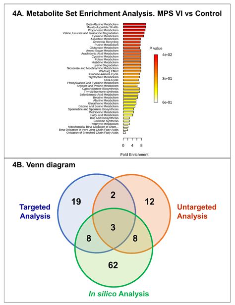 ijms free full text analysis of mucopolysaccharidosis type vi