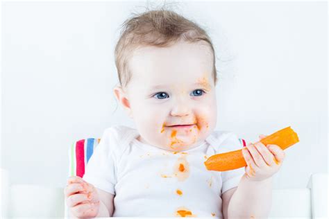 Cubo Estropeado Cohete Comida Para Bebes De 6 Meses En Adelante De Nada