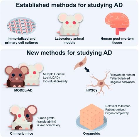 Figure 2 From An Overview Of Astrocyte Responses In Genetically Induced