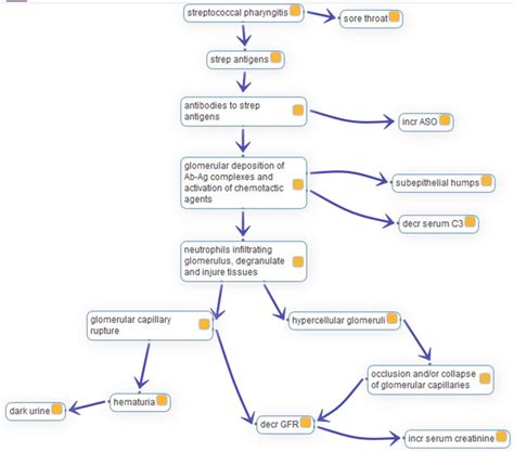 Glomerulonephritis Pathophysiology