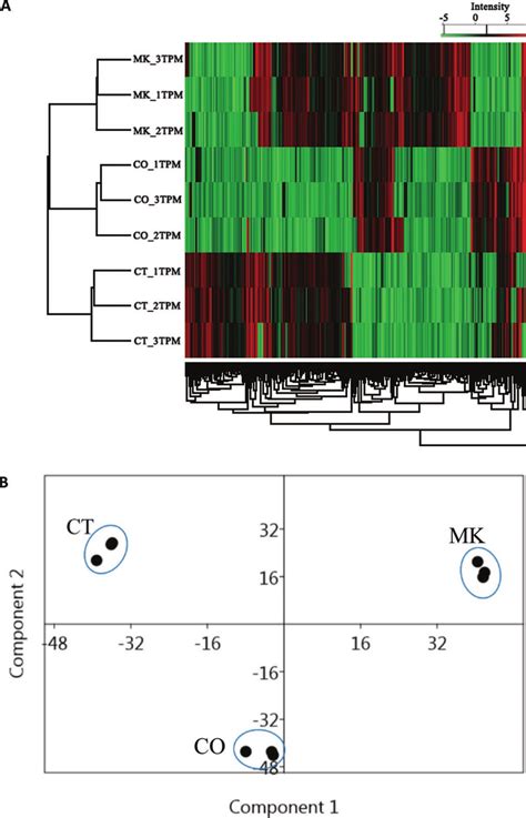Hierarchical Clustering A And Principal Component Analysis B Of