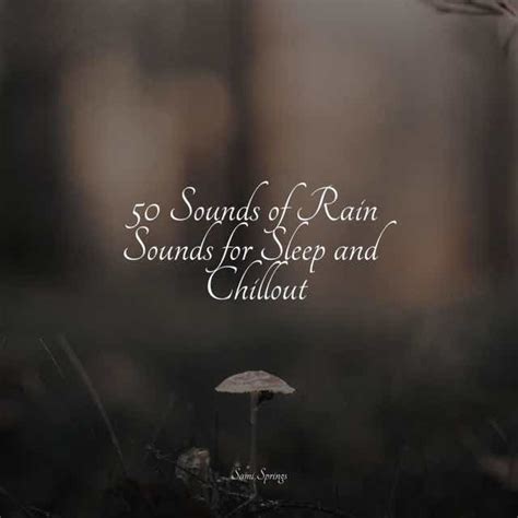 50 Sounds Of Rain Sounds For Sleep And Chillout By Rainforest Sounds