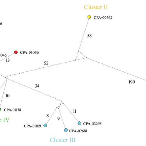 Median Joining Phylogenetic Network Of The 2022 Mexican H7n3 Hpaivs