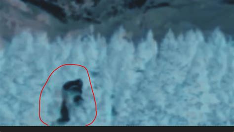 Rmso Bigfoot Hunter Abandons Outing When Sasquatch Walks Past Gripping