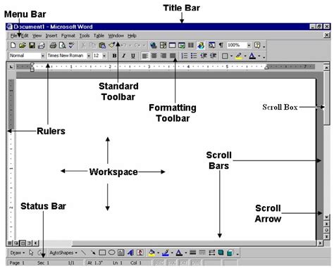 ms word interface and editing document tutorial