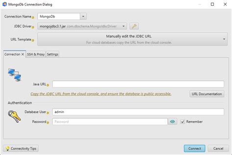 connect to mongodb
