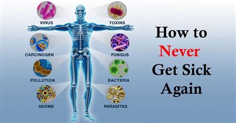 8 Natural Ways To Improve Your Immune System And Never Get Sick Again