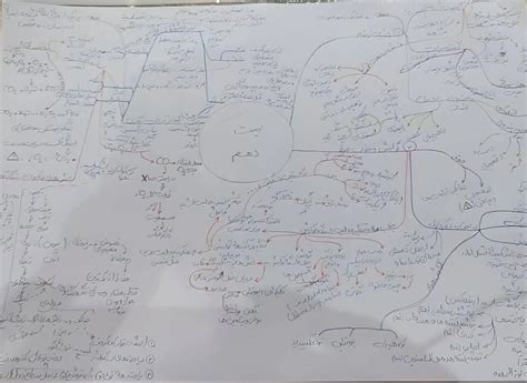 🧠 ویدئو آموزش رسم نقشه ذهنی 2024