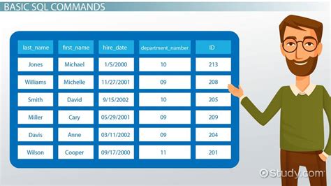 basic sql commands in database management systems dbms video