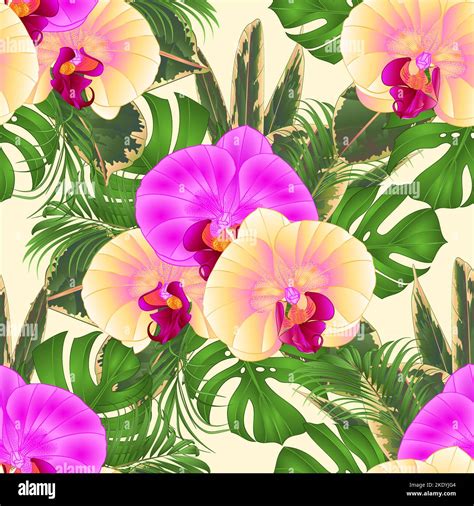 Seamless Texture Bouquet With Tropical Flowers Floral Arrangement With