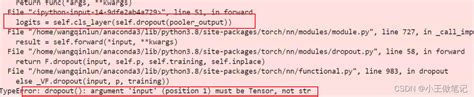 代码错误记录：typeerror dropout argument ‘input‘ position 1 must be