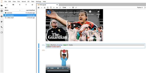 jupyter lab display video on jupyterlab notebook on gcp