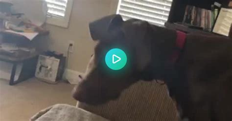 calculate distance set feet jump bullseye album on imgur