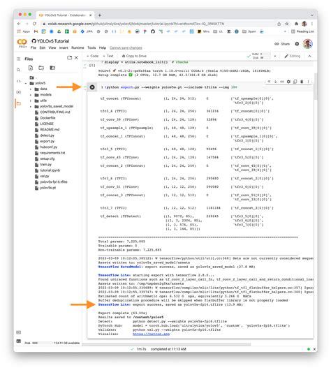 cannot copy to a tensorflowlite tensor serving default input 1 0