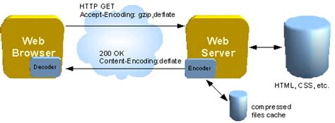 instructions for creating an server in python
