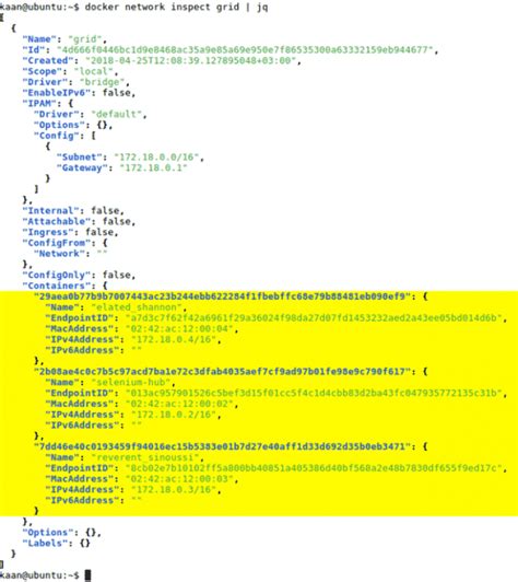 docker selenium tutorial for parallel testing on selenium grid