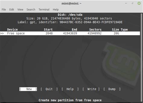 cfdisk command in linux with examples geeksforgeeks