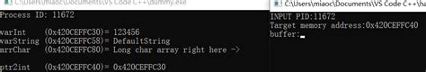 c access violation reading location it made me confused stack