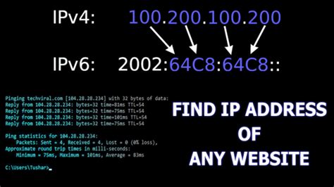 how to find server s ip address of any website