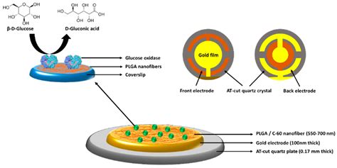 Materials Free Full Text Immobilized Enzymes In Biosensor Applications