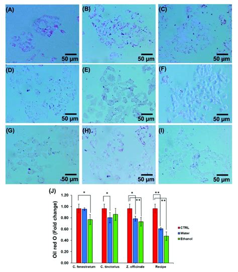 Effects Of Oil Red O Staining In Hepg2 And Examined Using An Inverted