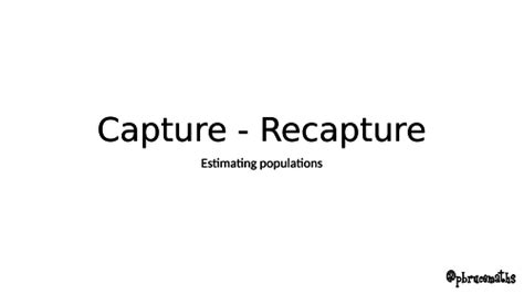capture recapture teaching resources
