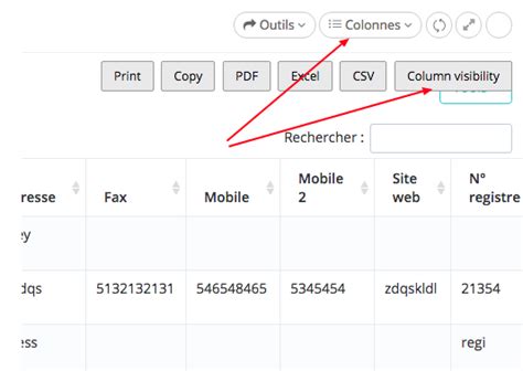 colvis in custom bouton — datatables forums