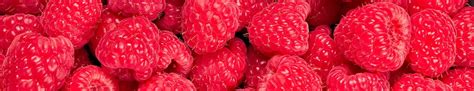 How To Prune Raspberries Thompson And Morgan