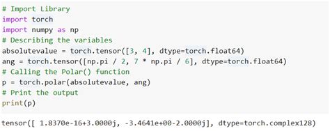 how to use pytorch polar python guides