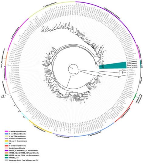 Viruses Free Full Text Comprehensive Genetic Characterization Of