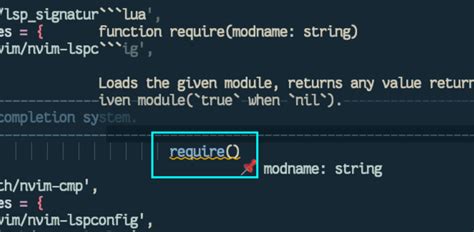 `error executing vim schedule lua callback er start lsp signature
