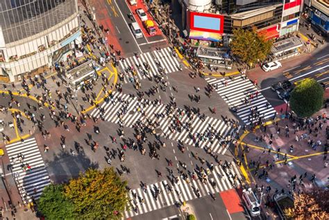 渋谷ガイド／東京の観光公式サイトgo Tokyo