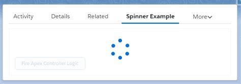 spinnerexample3