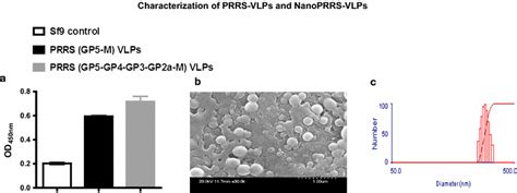Characterization Of Prrs Vlps And Nanoprrs Vlps A Harvested Culture