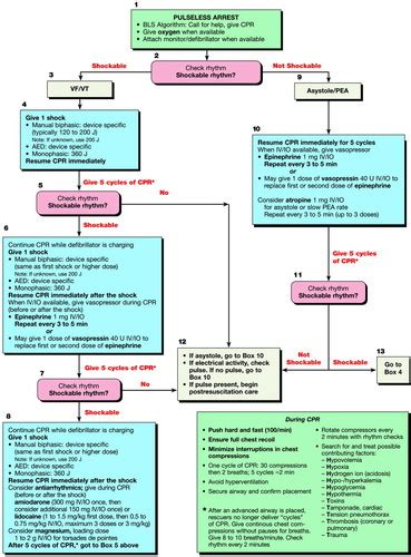 part 7 2 management of cardiac arrest circulation