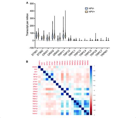 Mrna Expression Levels Of Socs Were Correlated With The Expression Of