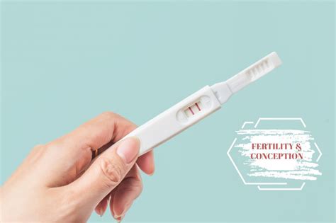 Fertility And Conception Women Fitness