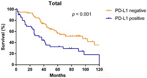 Kaplan Meier Overall Survival Curves According To Pd L1 Expression In