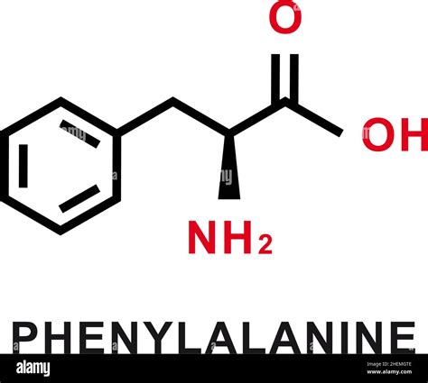 Phenylalanine Chemical Formula Phenylalanine Chemical Molecular