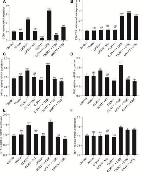 Mrna Expression Of Ccr1 And Downstream Pathways In Cse Induced Mh S