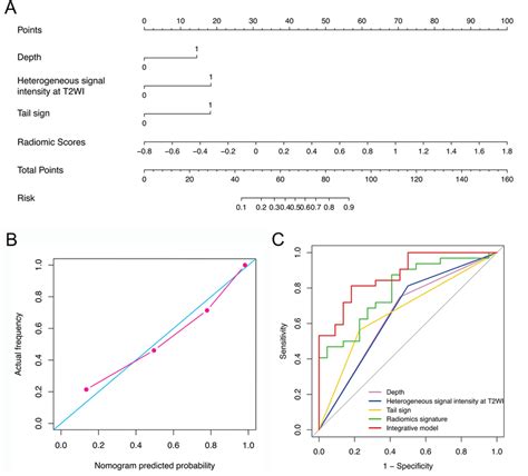 Radiomics Nomogram Calibration Curves And Receiver Operating