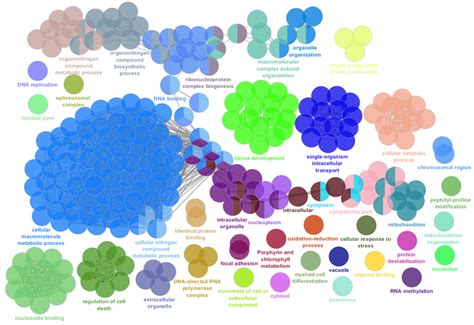 Analysis Of Enriched Go Functional Groups Of Expressed Genes Between