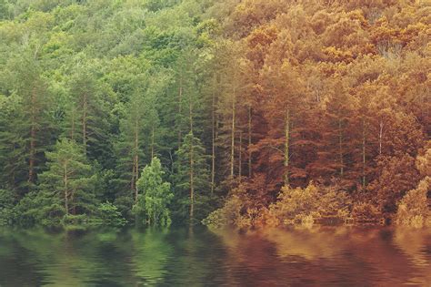 A Short Sequence For Transitioning From Summer To Fall The Yoga Loft