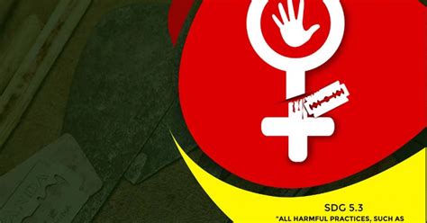 Unity In Action Key To Ending Female Genital Mutilation Ncce Ghana